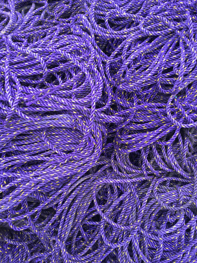 Collections – WharfWarp